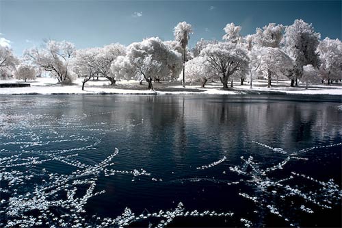 25 Brilliant Examples of Infrared Photography